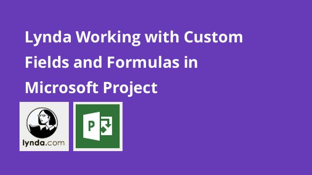 آموزش کار با فیلدهای سفارشی و فرمول ها در Microsoft Project